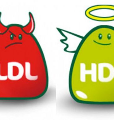 hdl alto - Tudo sobre hdl alto - Escola Educação