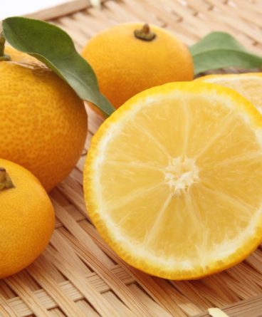 Yuzu características - Tudo sobre Yuzu características - Escola Educação