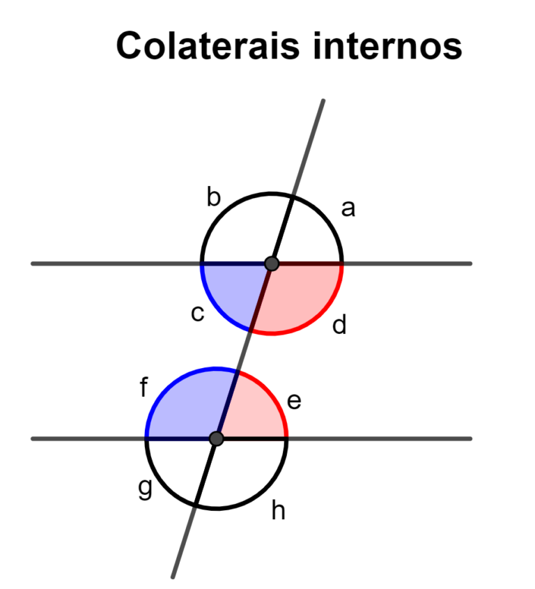 Retas paralelas - O que são, inclinação, reta transversal, ângulos