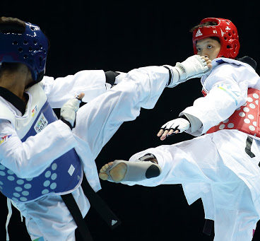 Artes marciais - Tudo sobre Artes marciais - Escola Educação