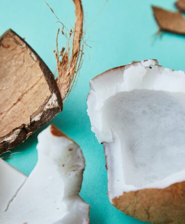 casca de coco - Tudo sobre casca de coco - Escola Educação