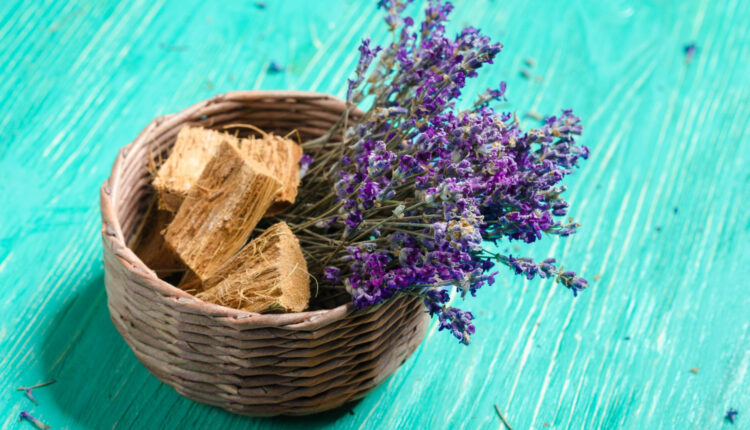 Conheça as 5 flores mais cheirosas e deixe sua casa perfumada