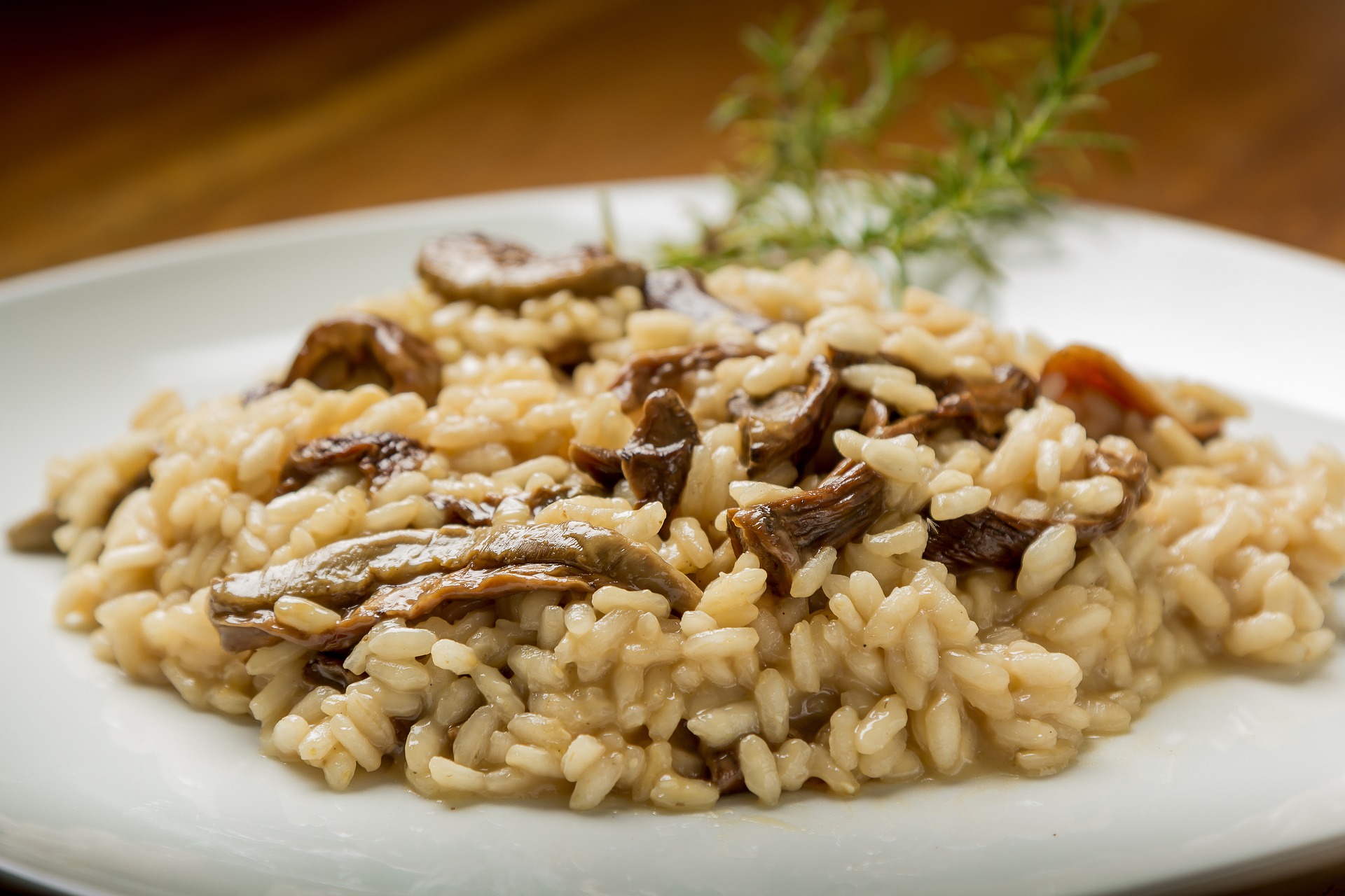 Conheça os diferentes tipos de arroz e pratos com ele