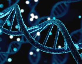 Pteridófitas - Estrutura - Reprodução - Ciclo de Vida - Biologia