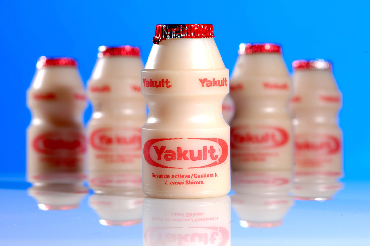 Yakult: tudo que você precisa saber sobre essa bebida láctea famosa