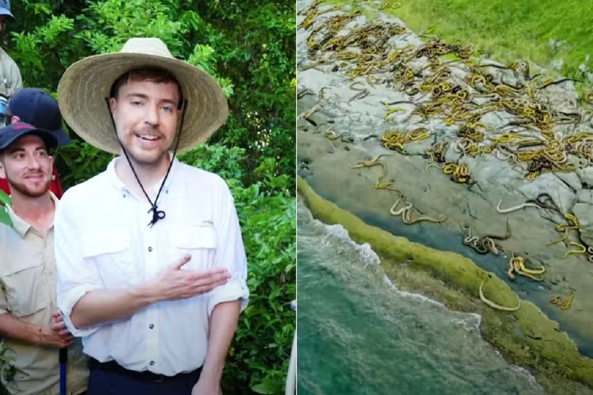 Youtuber mais famoso do mundo visita ilha mortal em SP repleta de cobras